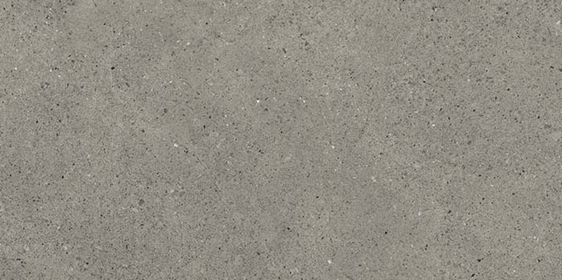 Kindred Gray 12x24 Field Tile Matte Rectified - Virginia Tile Company